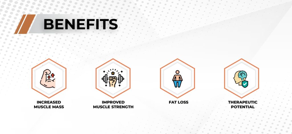 The 2 Best Myostatin Supplements: Benefits, Risks, And Expert Insights