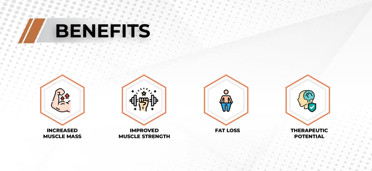 The 2 Best Myostatin Supplements: Benefits, Risks, And Expert Insights