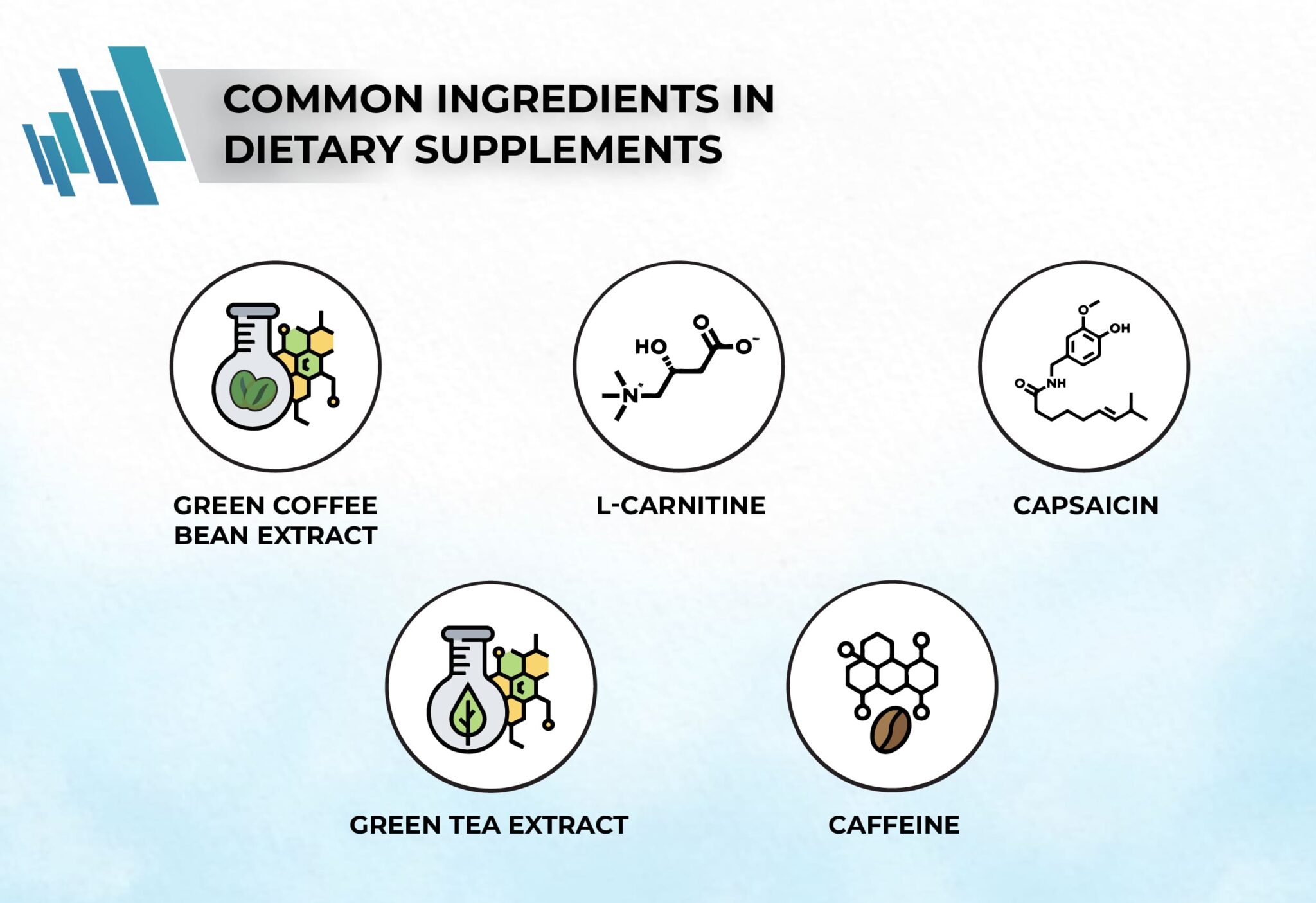 7 Best Fat Burners Of 2025: Effective Supplements For A Boosted Weight ...