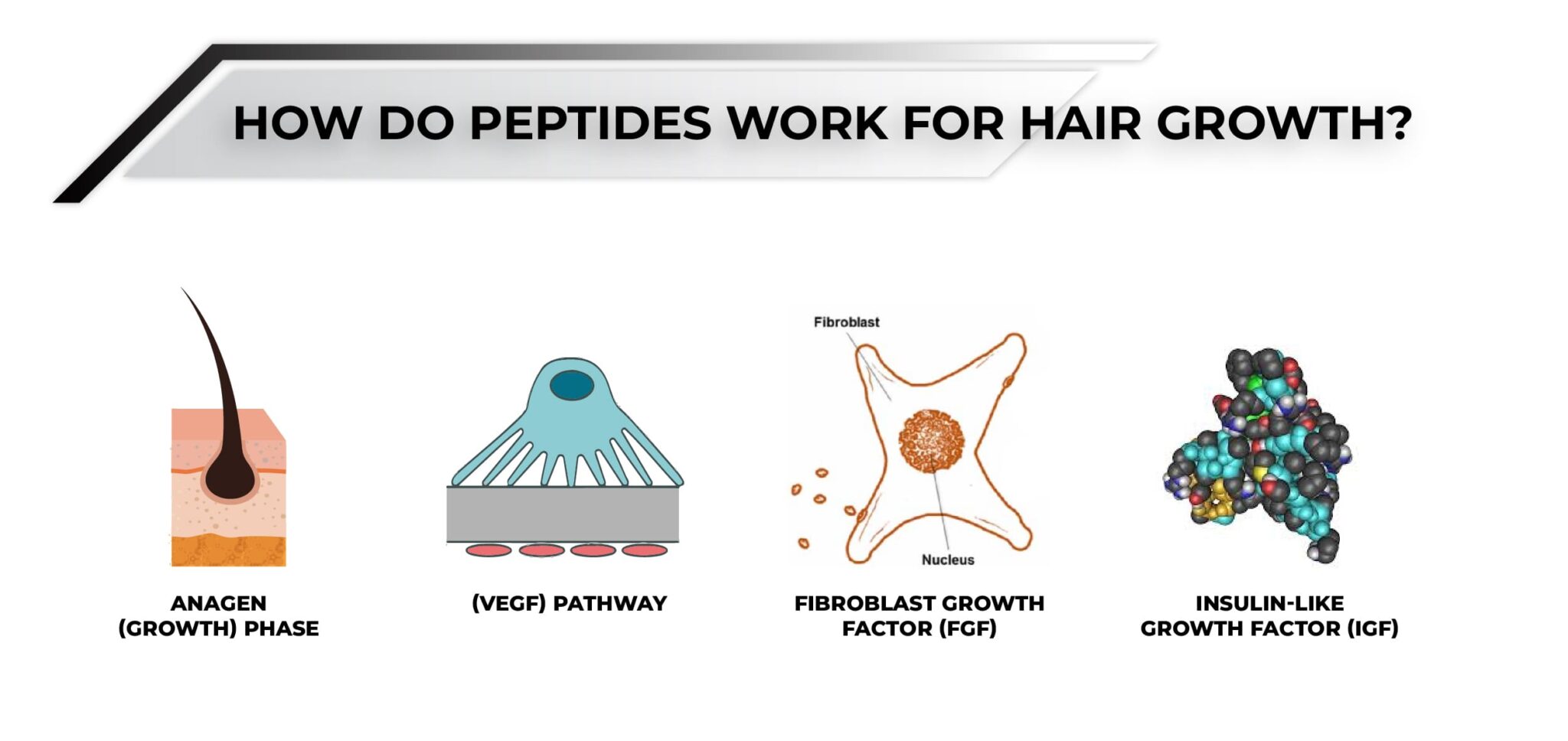 Top Peptides For Hair Growth: Ultimate Hair Health And Thickness