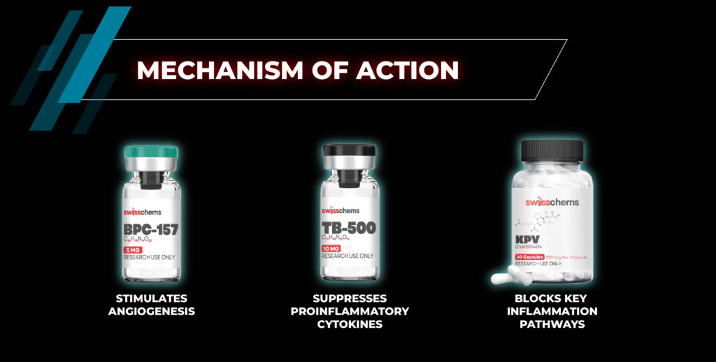 The 3 Best Supplements For Swelling And Inflammation: BPC 157, TB 500 ...