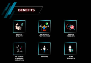 The 5 Best SARMs For Muscle Growth: Benefits, Dosage And Side Effects