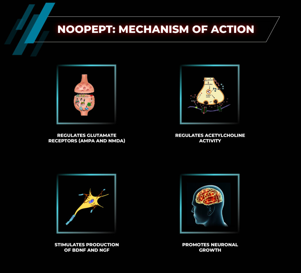 Understanding Noopept: Mechanism, Benefits And The Best Products In 2025