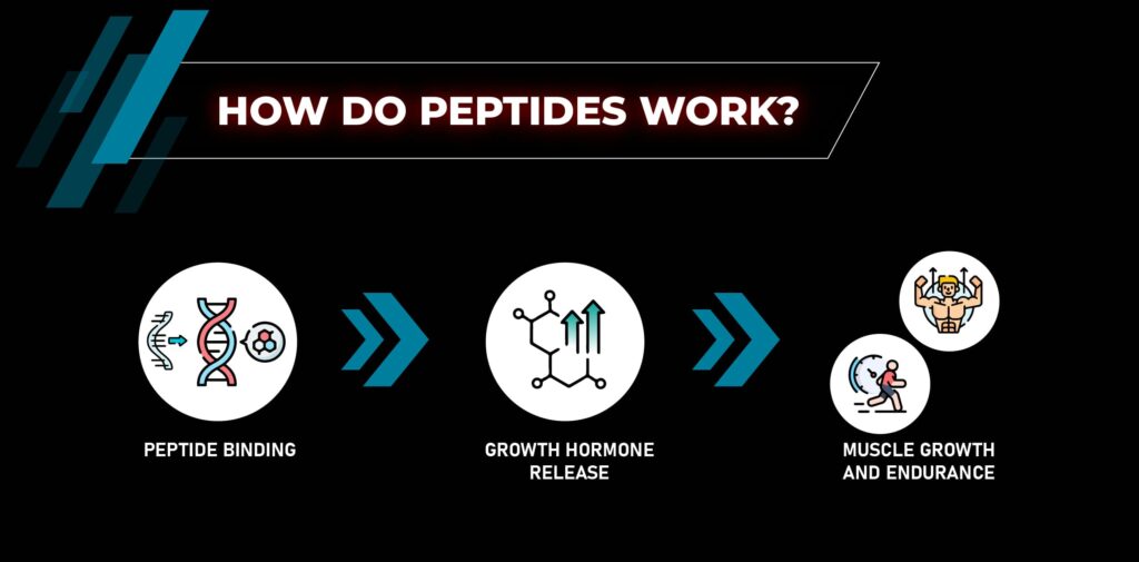 The 5 Best Peptides For Endurance Athletes To Boost Stamina
