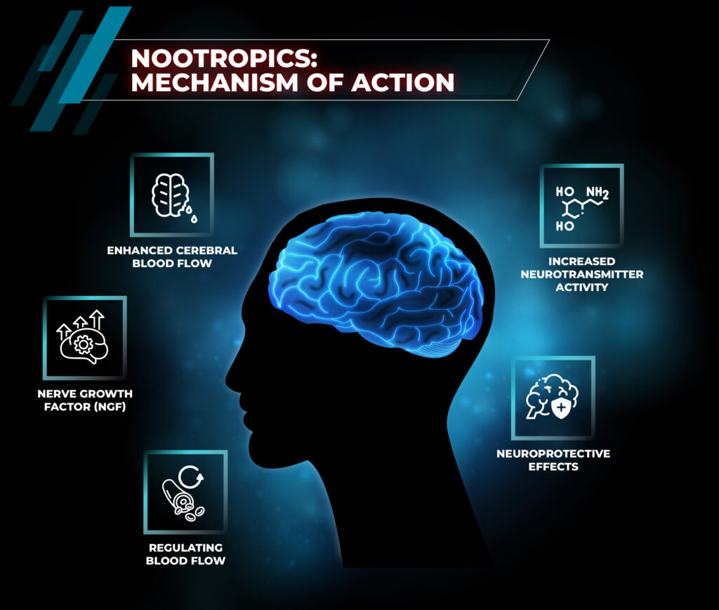 Best Nootropic Stack For Beginners In 2025: Essential Picks For Peak Performance