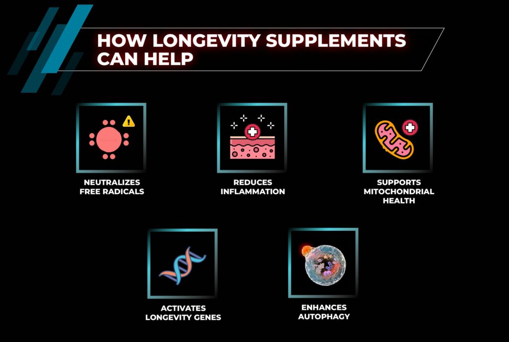 7 Best Longevity Supplements You Should Be Taking In 2025