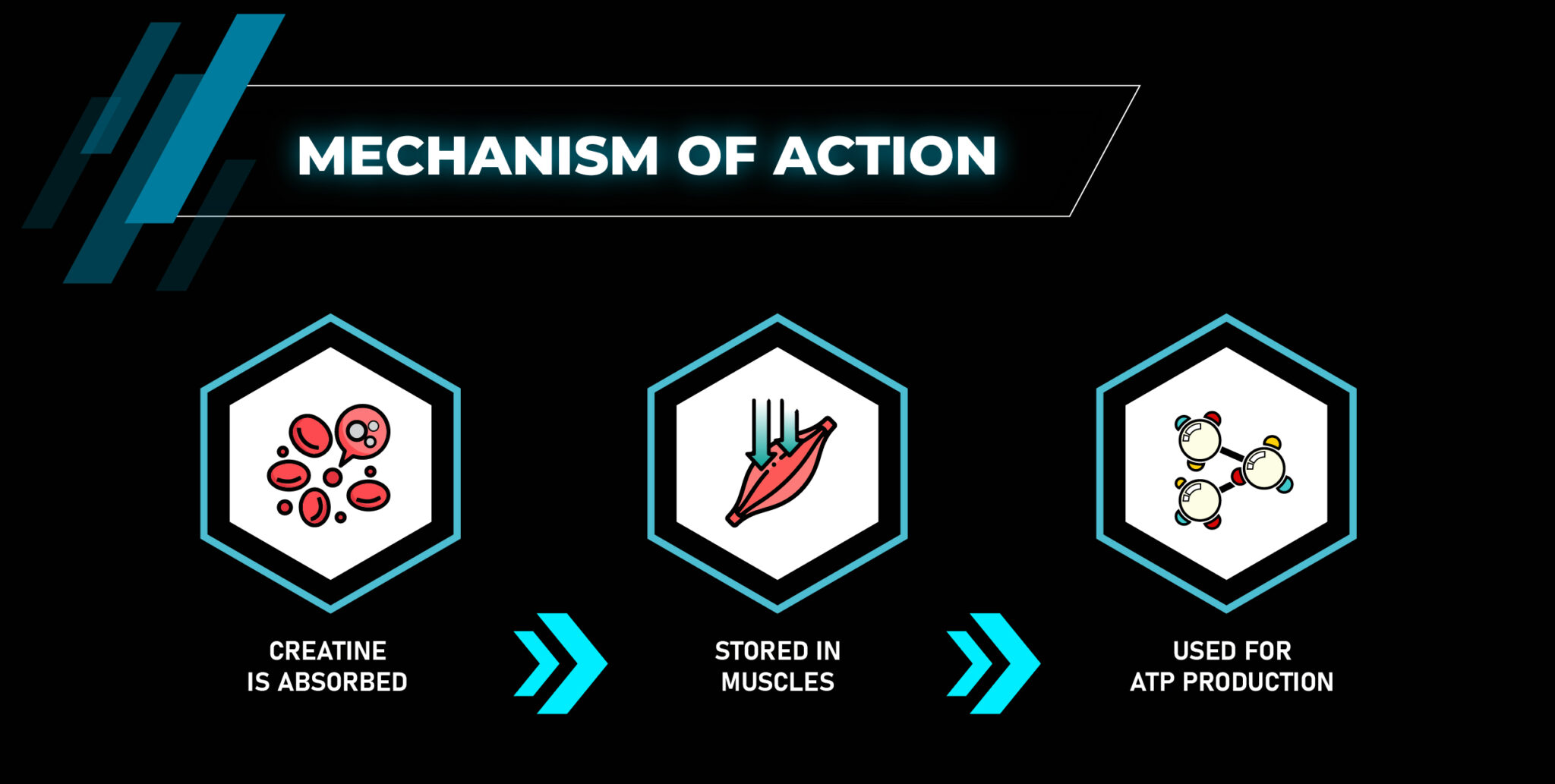 8 Types Of Creatine: Which Form Is Best For Muscle Growth?