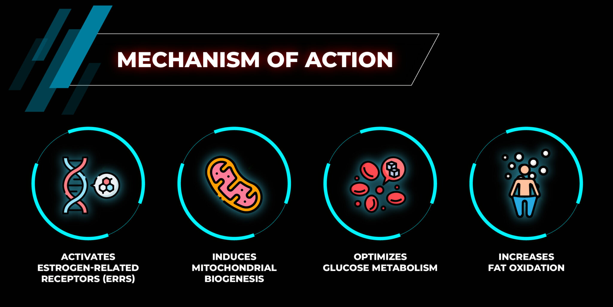 Understanding SLU-PP-332: The Ultimate Fat Loss Agent In 2025