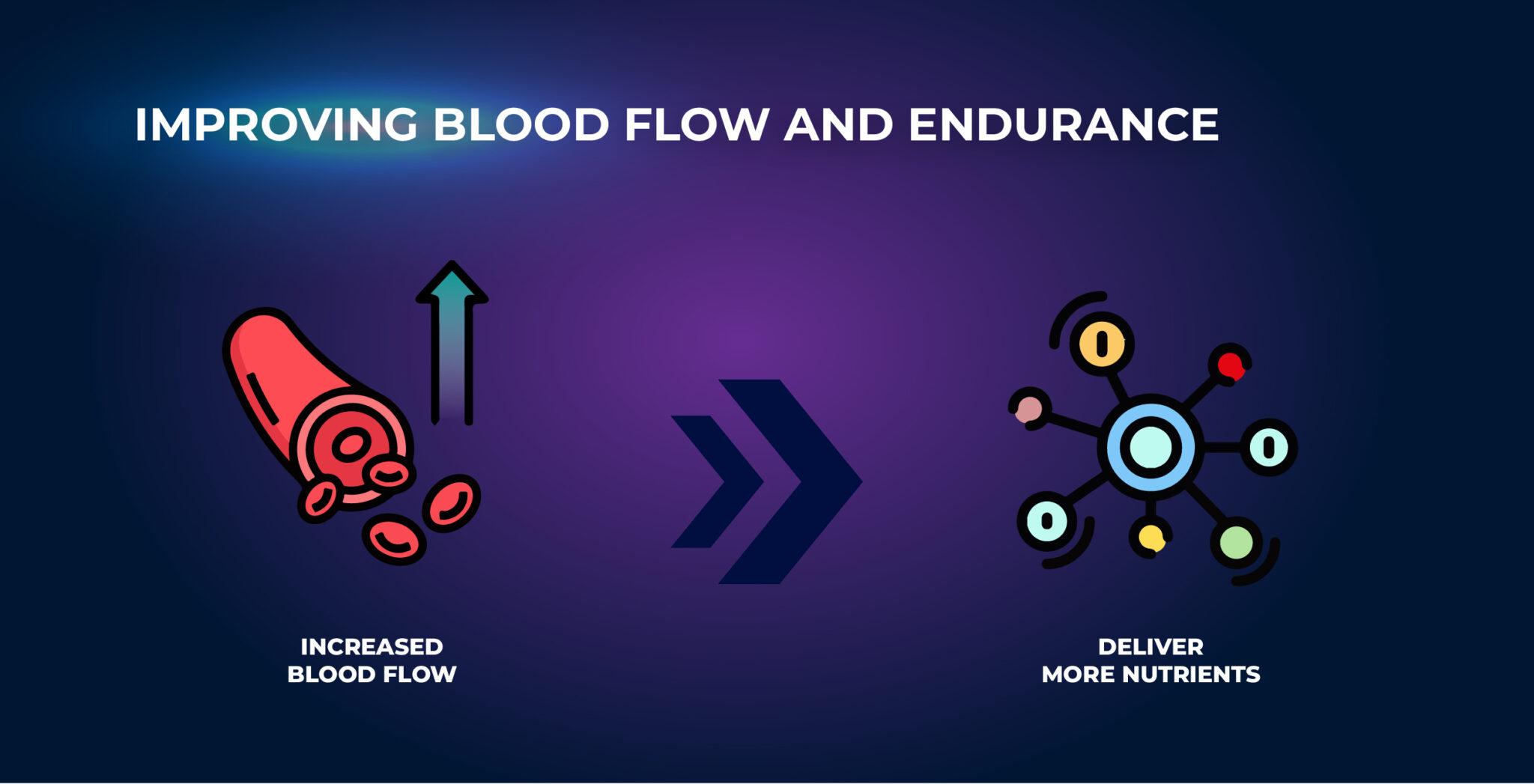 Best Pre Workout For Muscle Gain: Top Picks & Proven Ingredients