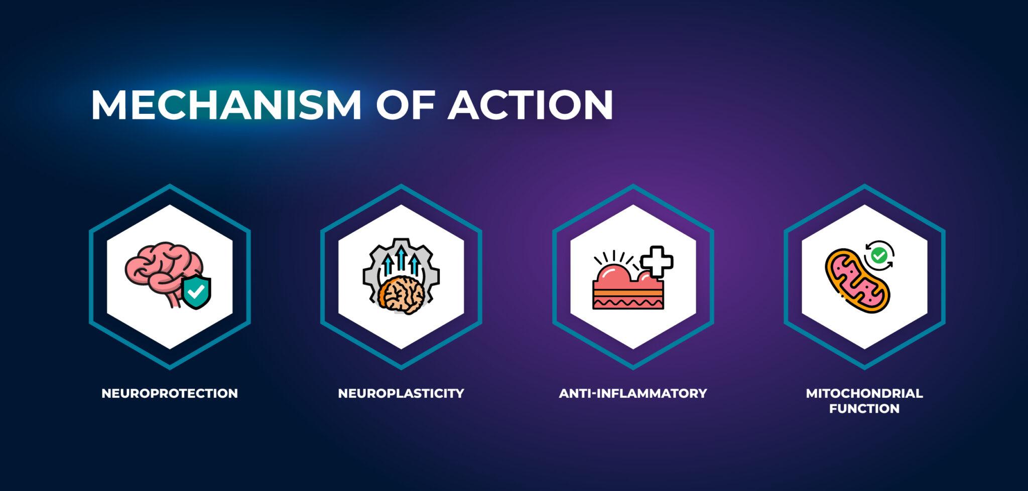 Cortagen Bioregulator: How It Supports Cognitive Health, Nerve Repair ...