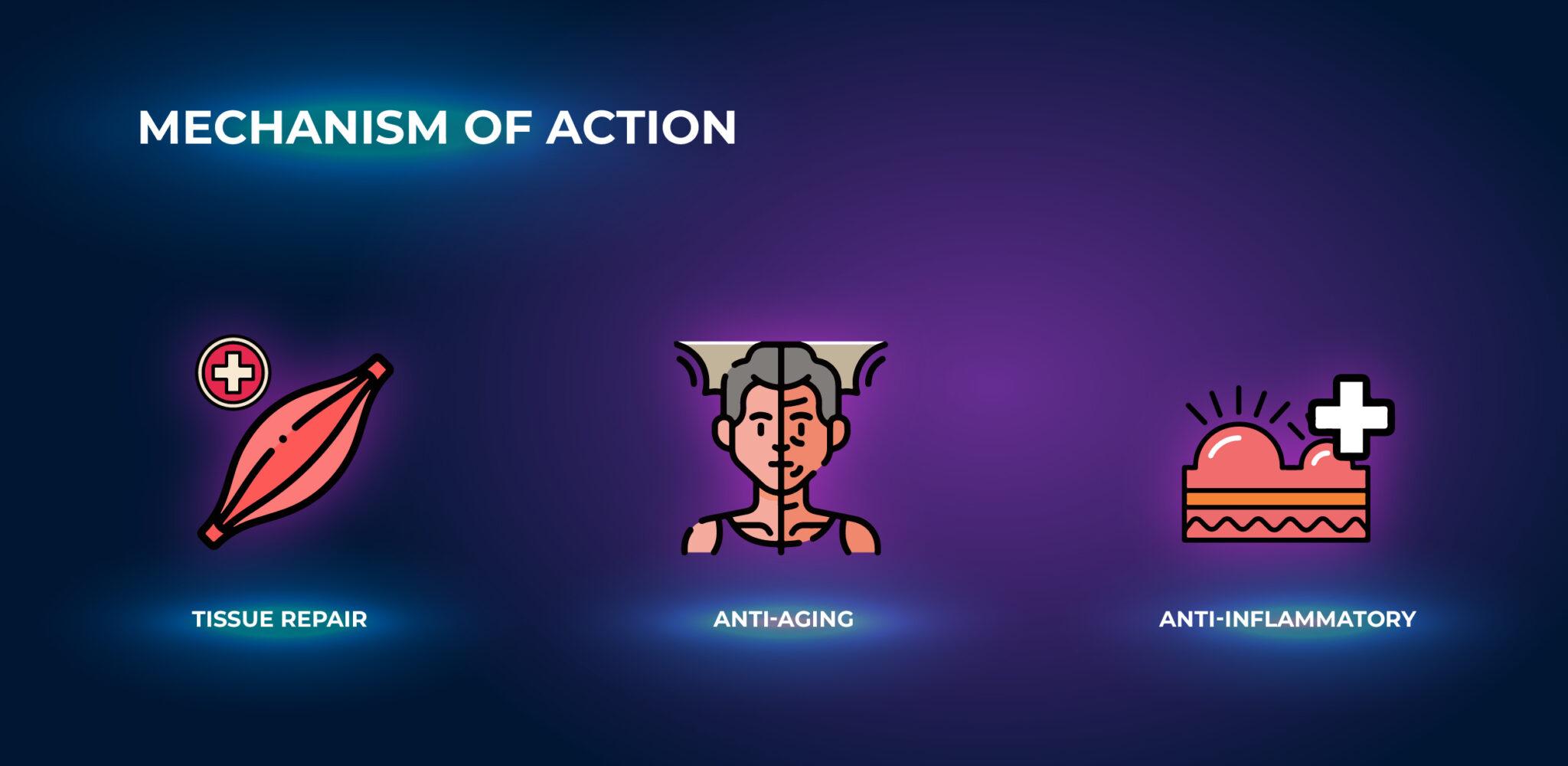 Prostamax Bioregulator: All You Need To Know About Peptide-Driven ...