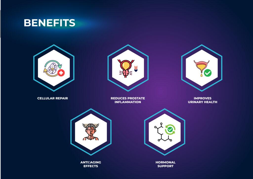 Prostamax Bioregulator: All You Need To Know About Peptide-Driven ...