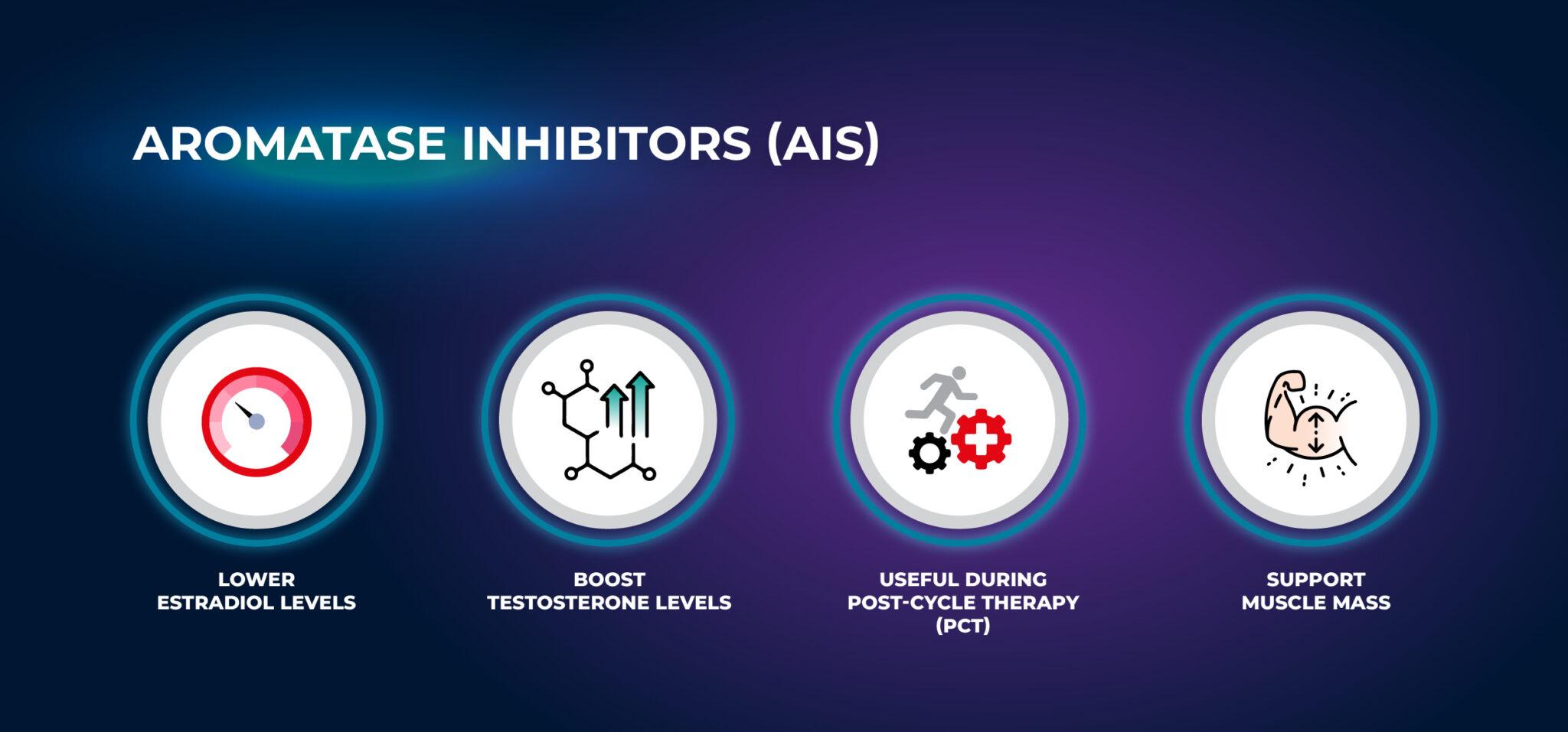 The Essential Guide To Estrogen Blocker For Men: Benefits And Risks