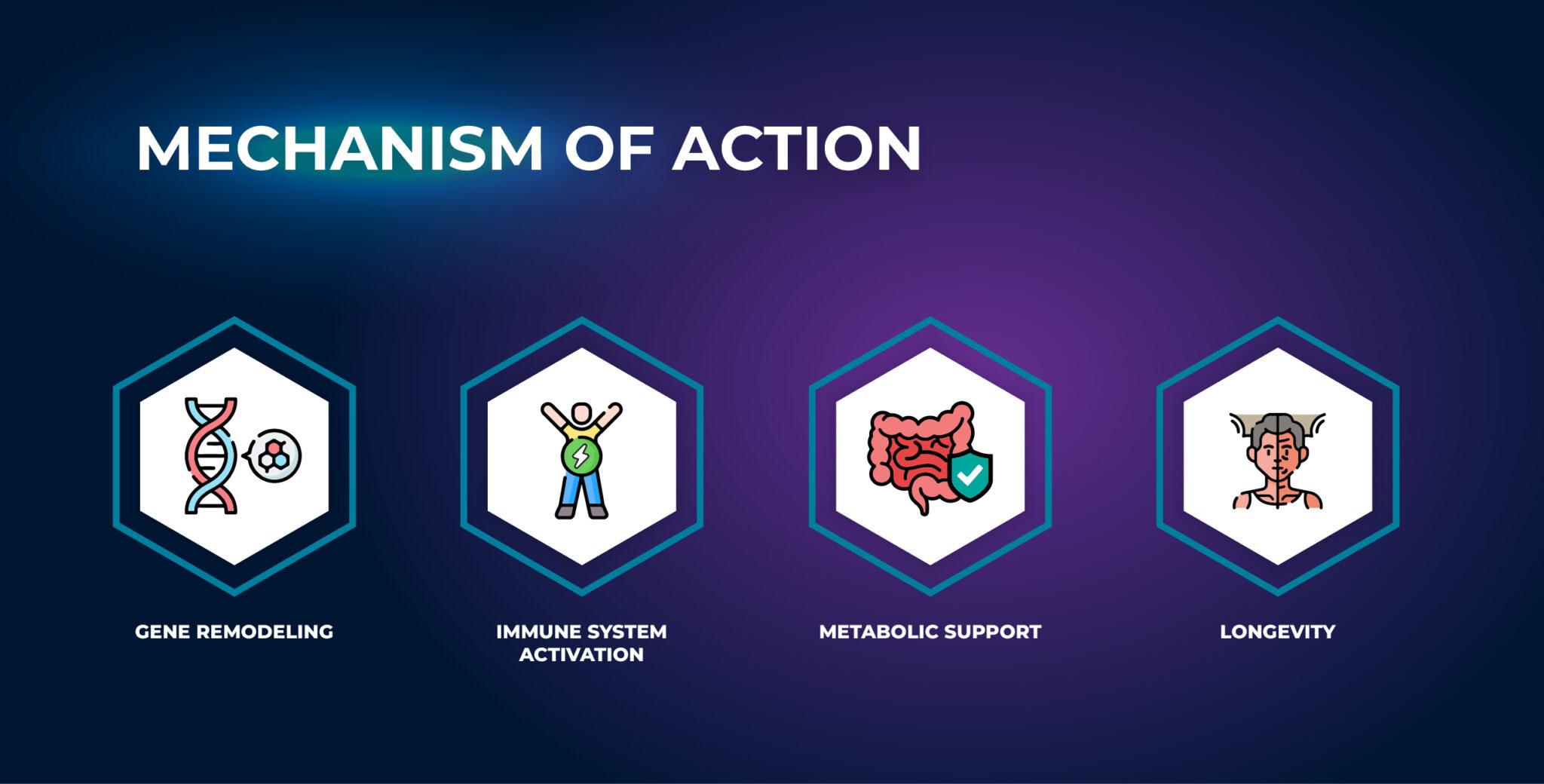 Vilon: Essential Insights On Benefits, Usage, And Dosage Guidelines