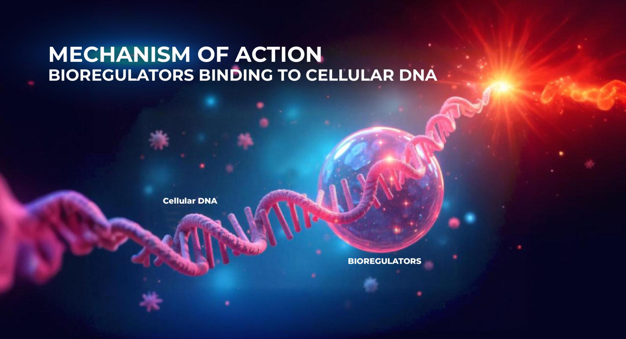 What Are Bioregulators And Their Benefits For Health And Wellness?