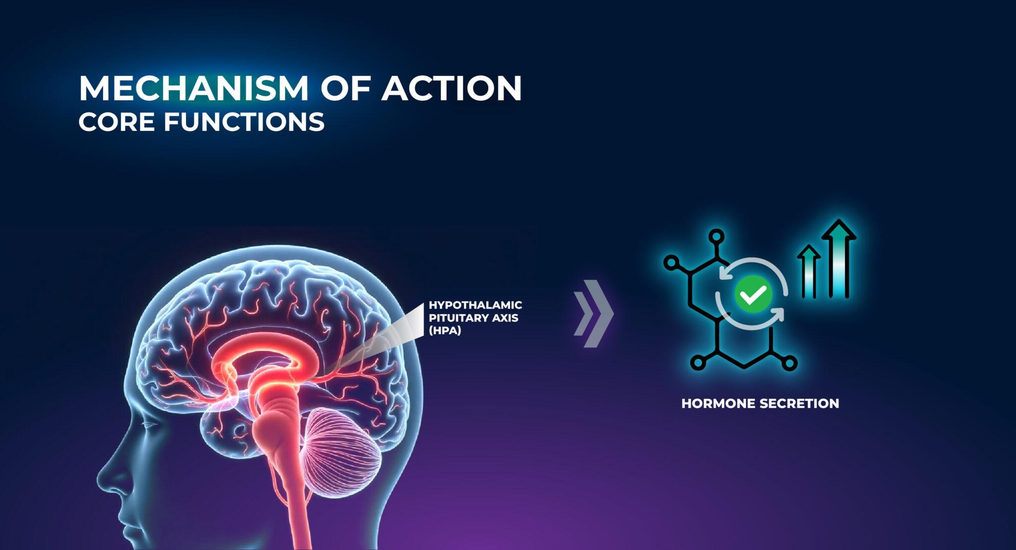 What Are Bioregulators And Their Benefits For Health And Wellness?