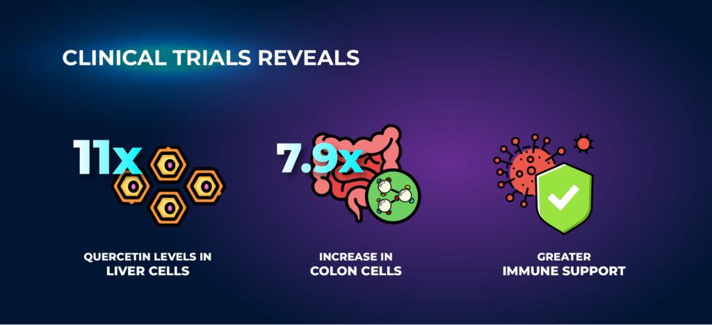 What Is Quercetin Phytosome? The High-Absorption Antioxidant Explained