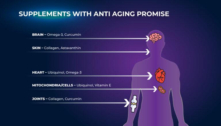 Best Anti-Aging Supplements For Men: Stay Strong, Energized, And Sharp