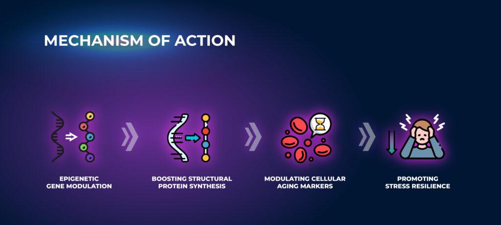 Cartalax Explained: How This Peptide Targets Tissue Regeneration