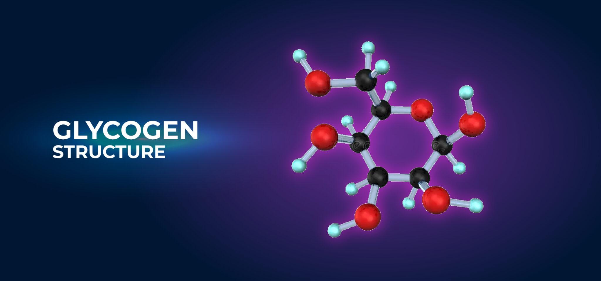 Essential Glycogen Support: Boost Your Energy And Recovery Naturally