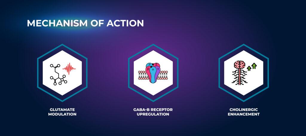 Fasoracetam: The Nootropic That Boosts Focus, Motivation & Recovery