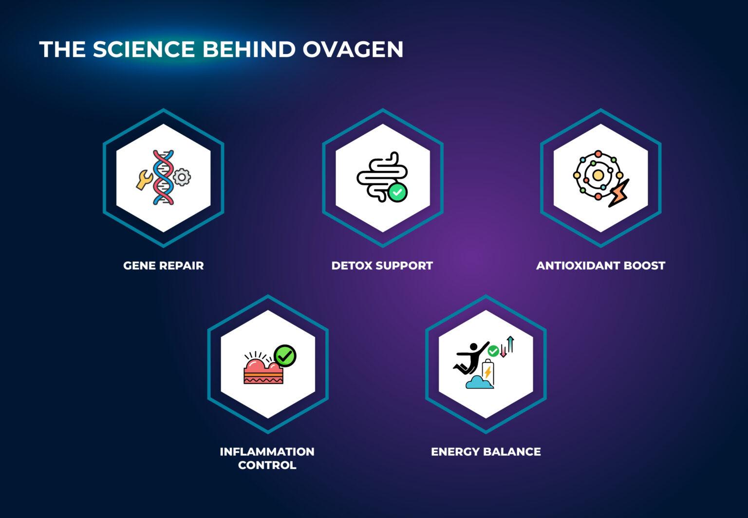 Ovagen Guide: What It Does, Who It Helps, How To Use It