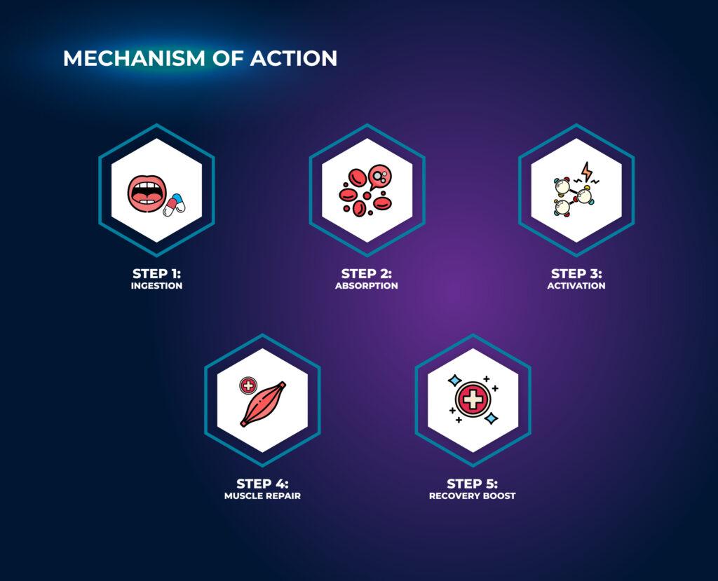 อาหารเสริม EAA ที่ดีที่สุดสำหรับเพิ่มการฟื้นฟูกล้ามเนื้อและประสิทธิภาพการออกกำลังกาย