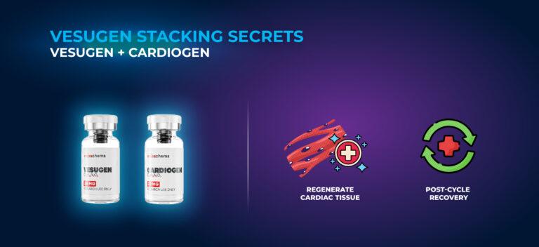 Vesugen: The Vascular Peptide Powering Elite Recovery And Longevity