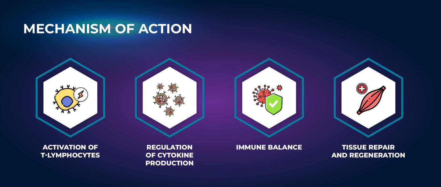 What Is Thymogen? A Complete Guide To Its Benefits, Uses, And Safety
