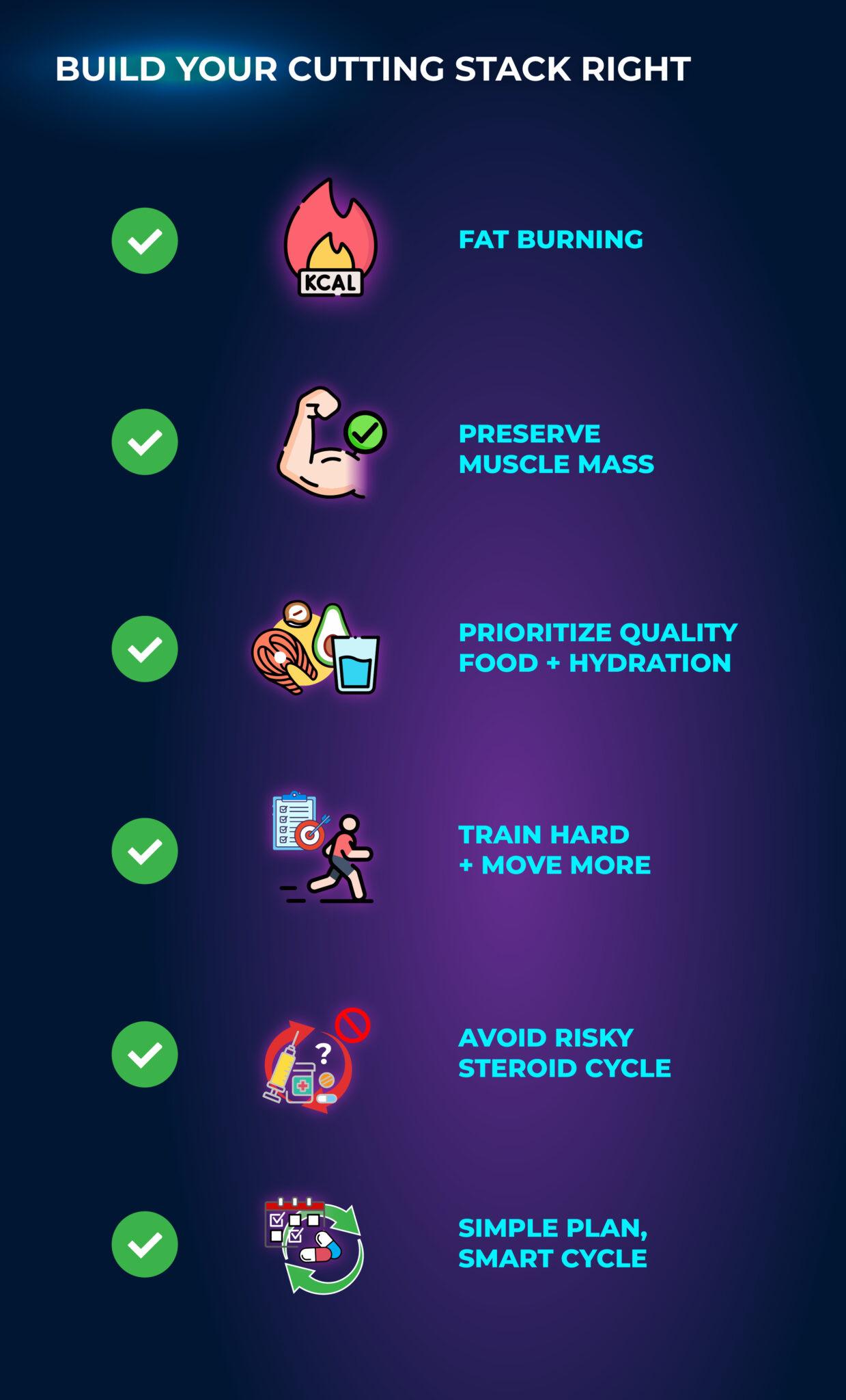 Best Cutting Stack For Beginners: Simple Cutting Cycle That Works