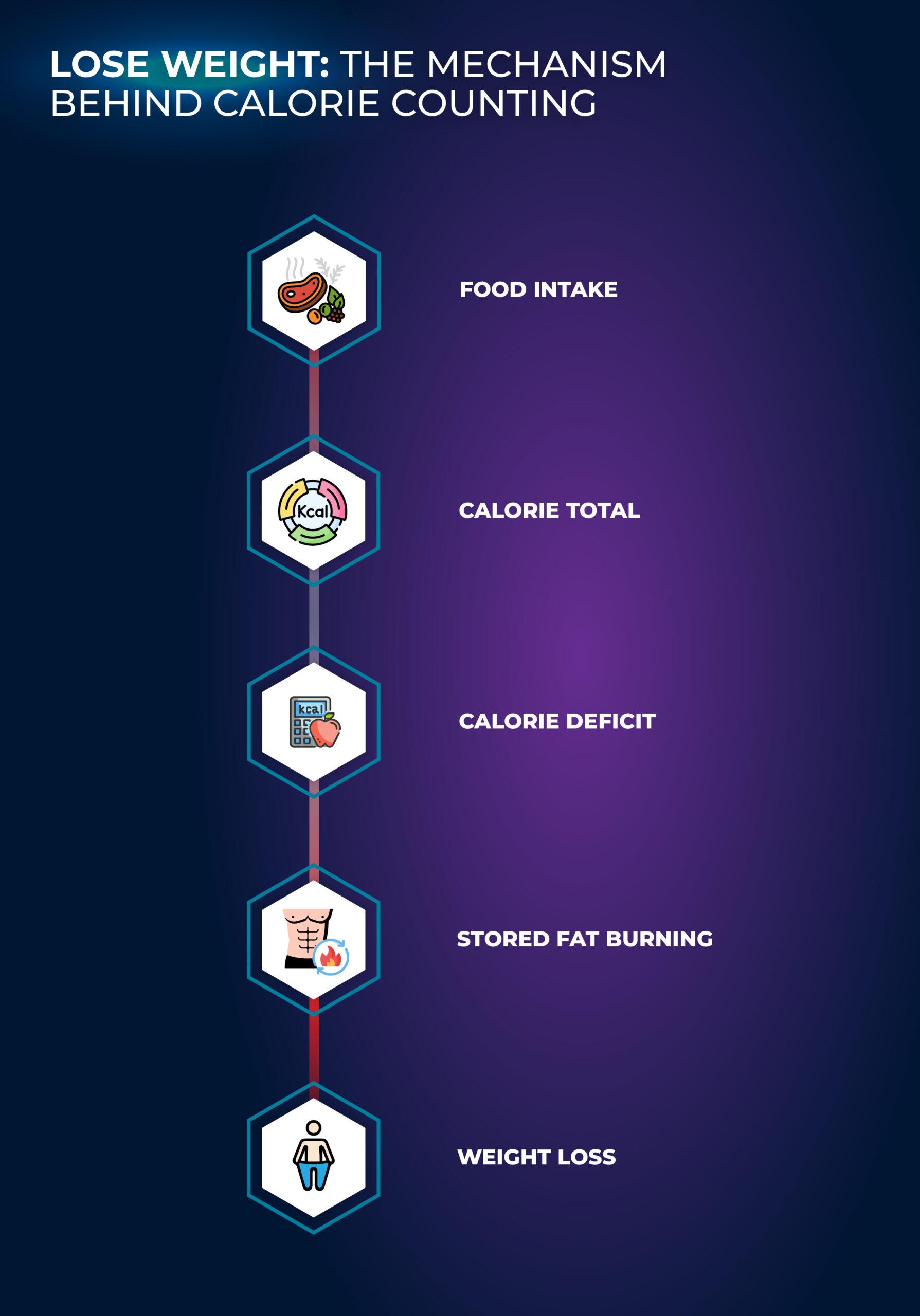 Does Calorie Counting Work? A Balanced Approach To Healthy Weight Loss