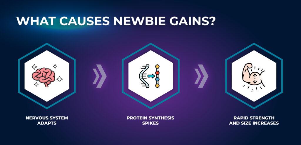 Newbie Gains And Motivation: Why Early Progress Matters In Your Fitness ...