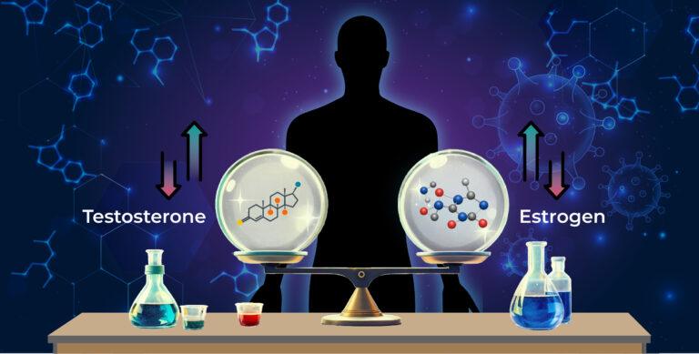 The Best Natural Aromatase Inhibitors For Men: Boost Hormone Balance