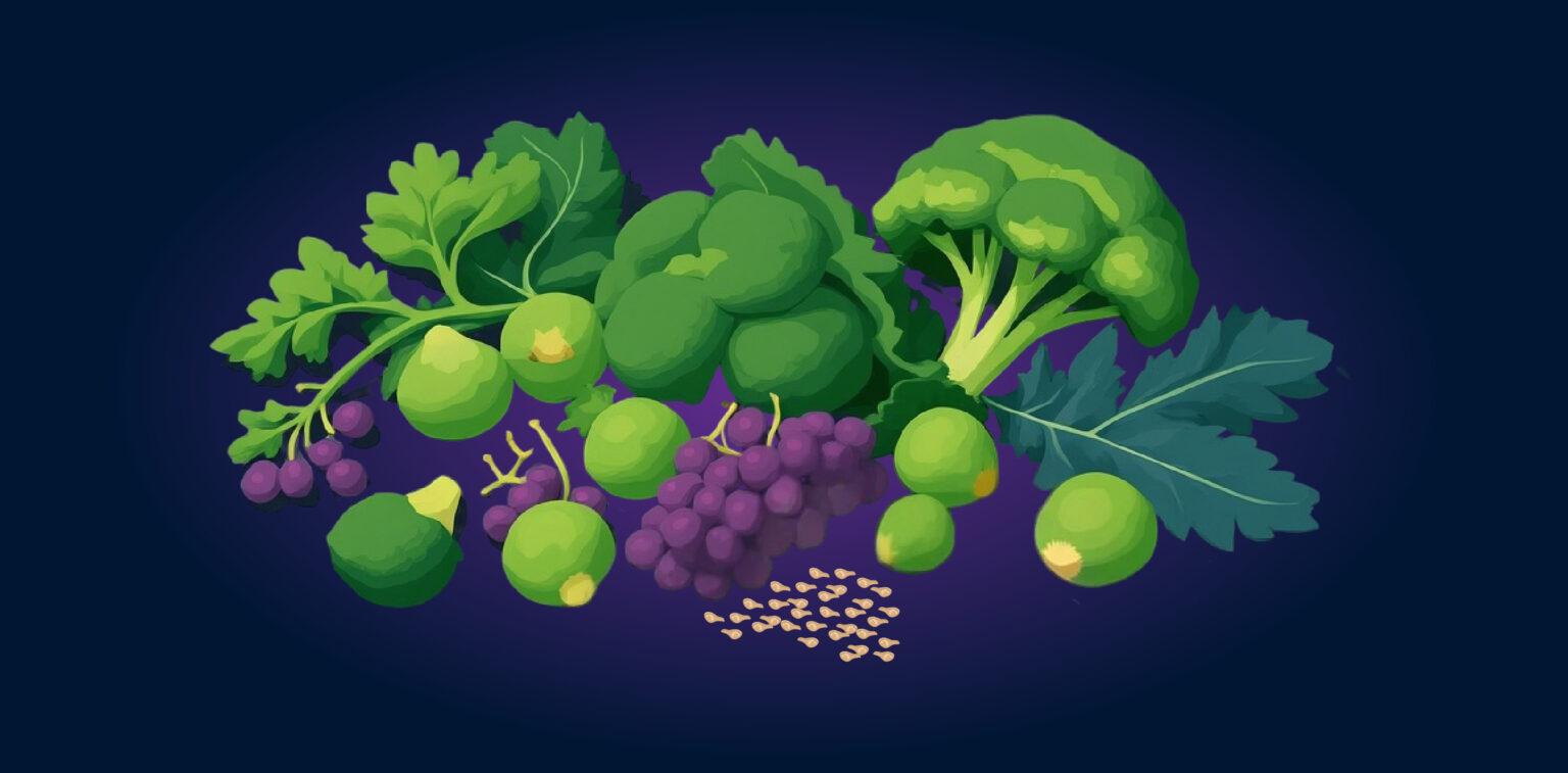 The Best Natural Aromatase Inhibitors For Men: Boost Hormone Balance