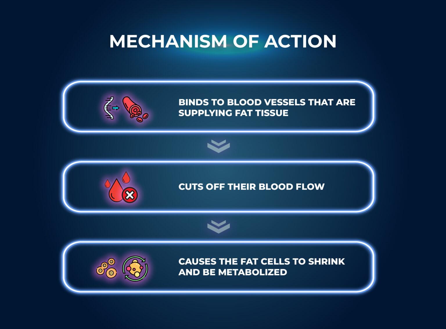 Adipotide (FTPP): The Science Behind This Experimental Fat-Loss Peptide