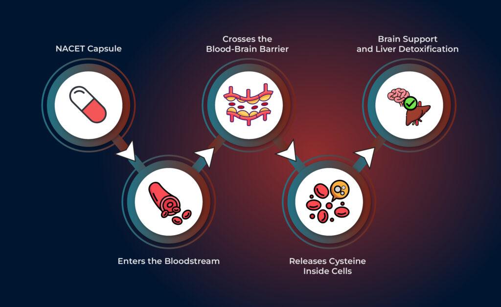 NACET Explained: Benefits, Dosage, And Why It’s Better Than NAC