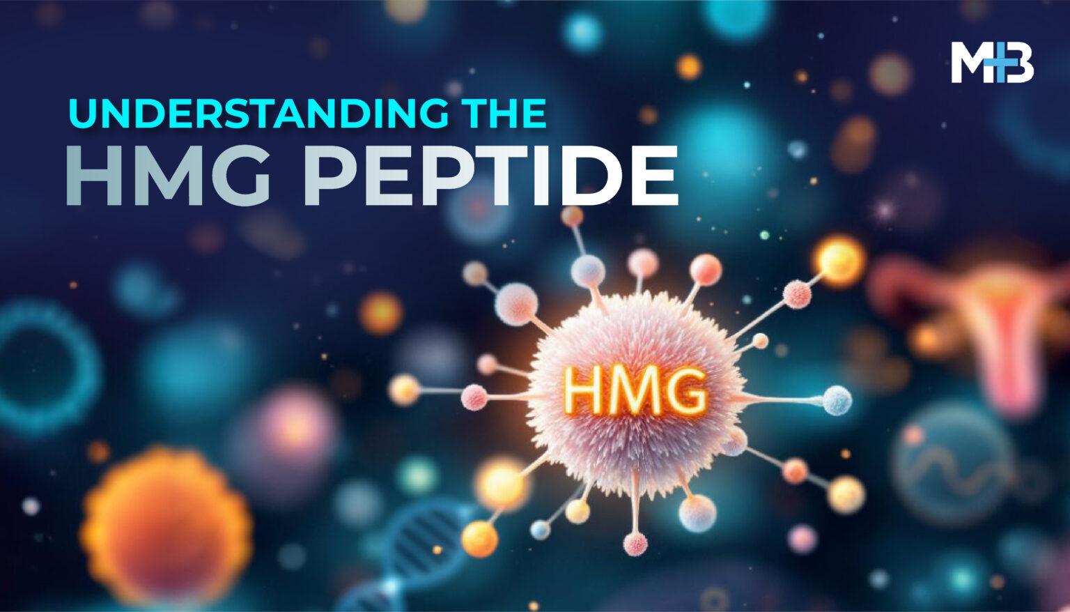 HMG Peptide Explained: Boost Fertility, Testosterone, And Hormone ...