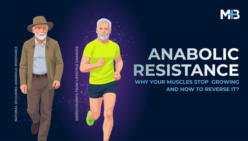 Roid Gut Revealed: Understanding Palumboism