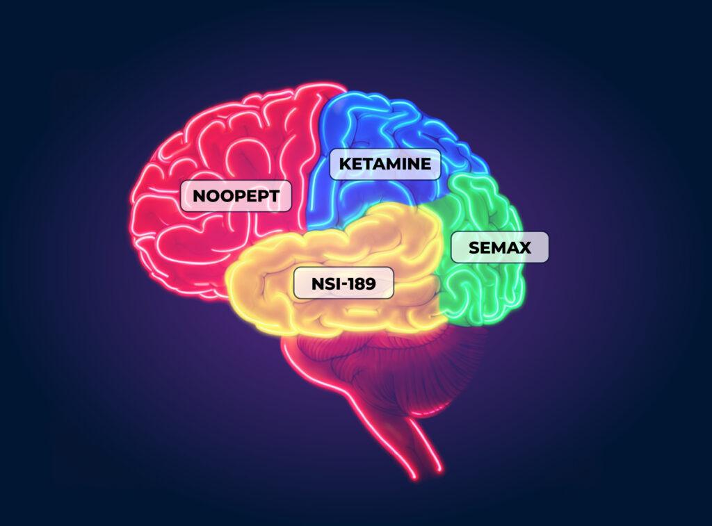 NSI-189 Explained: The Complete Guide To This Powerful Neurogenic Compound